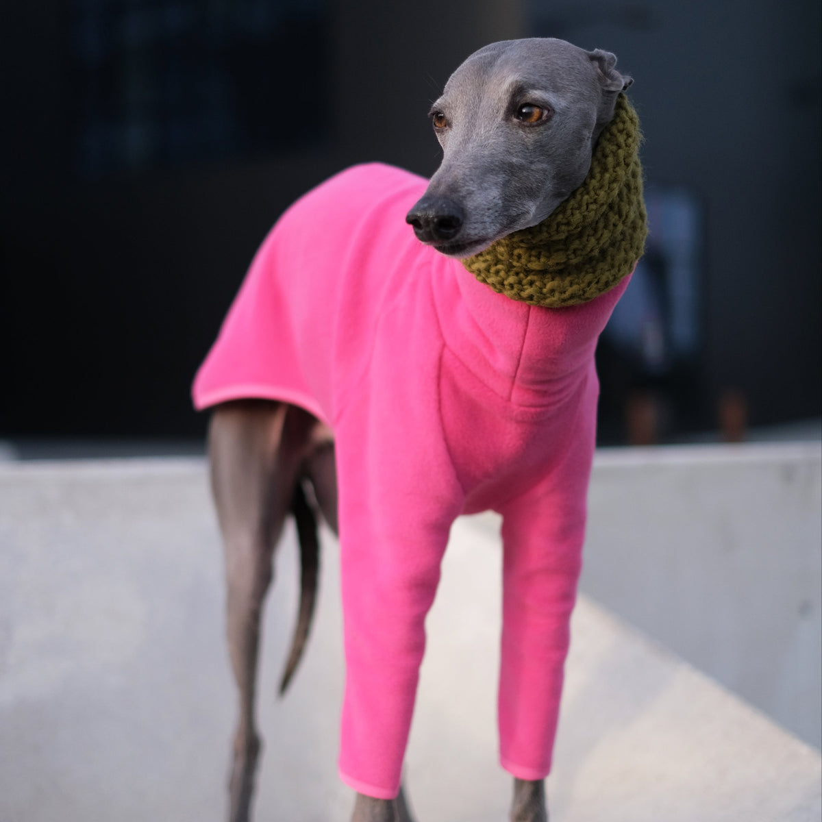 Buy The Flint whippet jumper, made from organic cotton – Occam