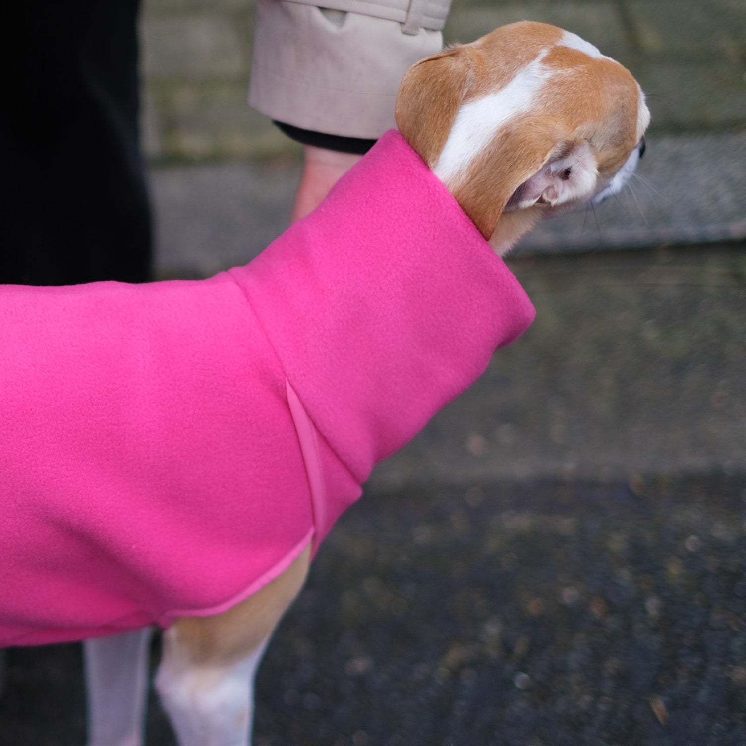 Whippet Fleece - Pink – Occam