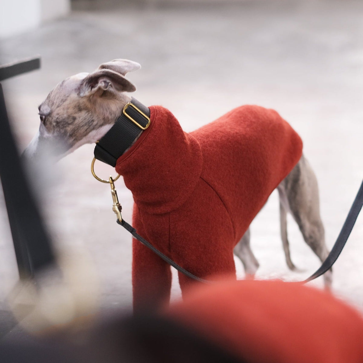 Shop functional design led whippet coats – Occam
