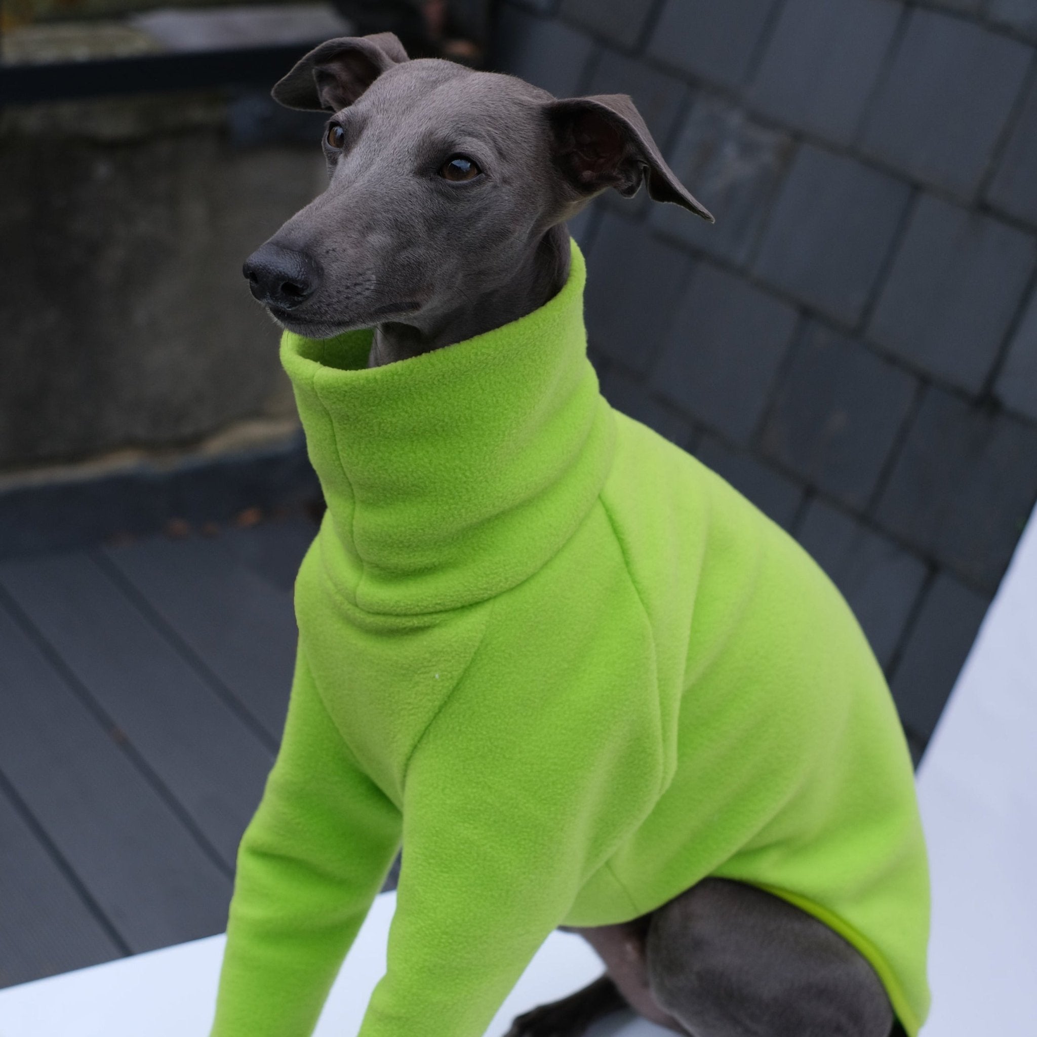 Buy The Flint whippet jumper, made from organic cotton – Occam